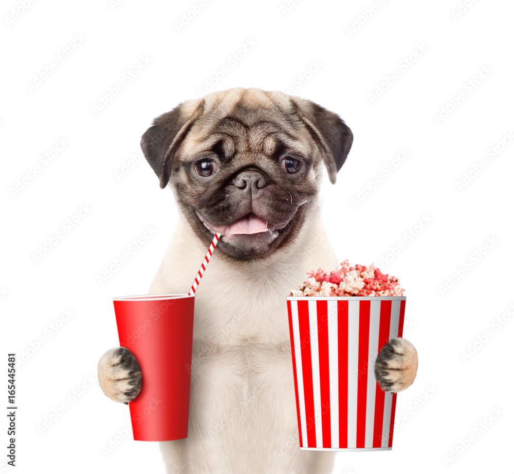 Funny puppy with popcorn and cola. isolated on white background Stock ...
