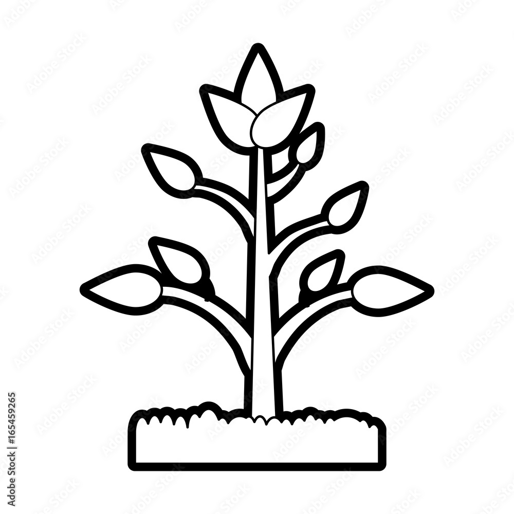 Soil Drawing