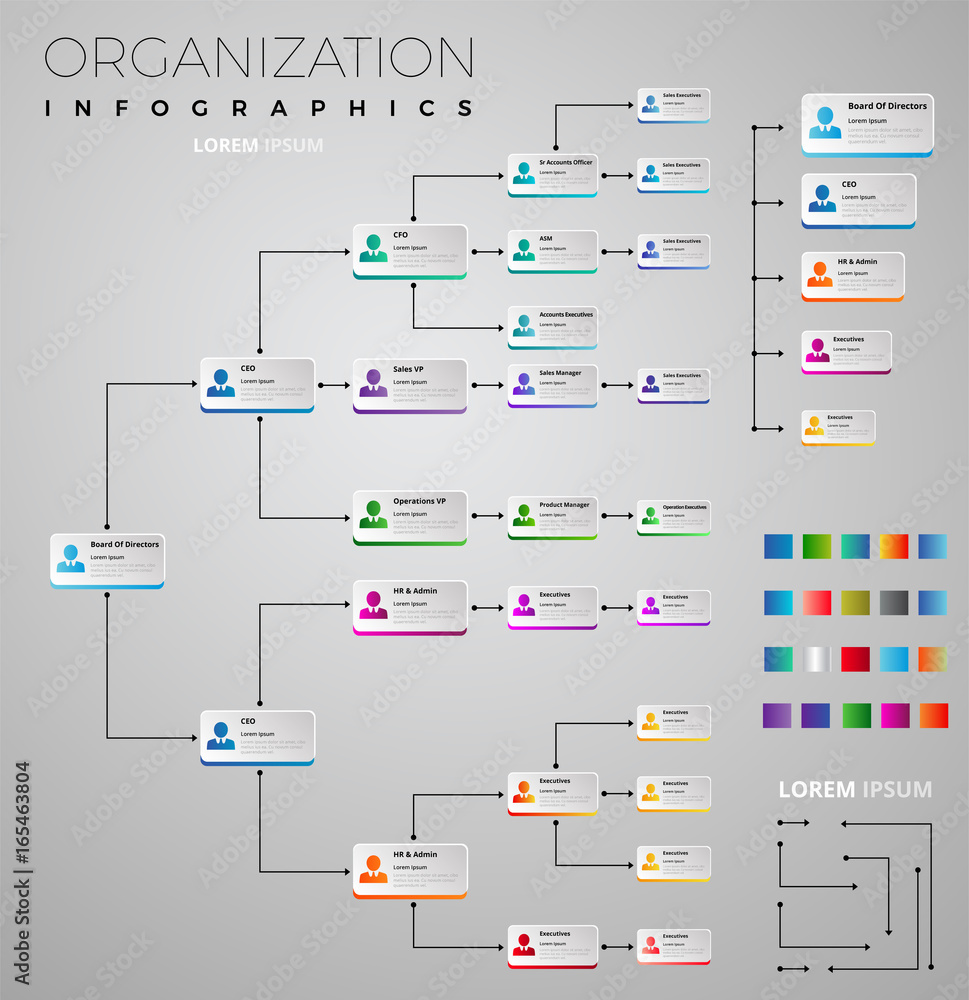 Organization Schema / Infographics Vectorial Design Stock Vector ...