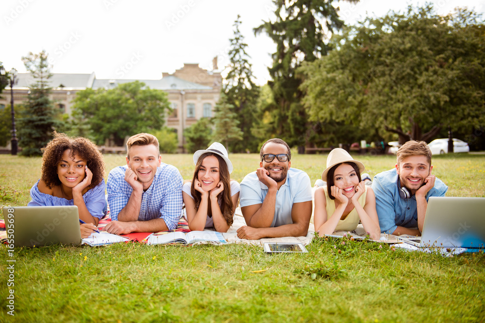 Six cheerful classmates are lying down on plaid on the green grass in ...