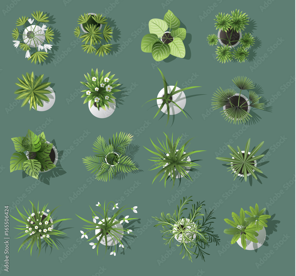 set of tree top symbols, for architectural or landscape design, for map ...