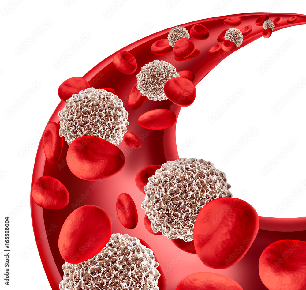 White Blood Cells Circulation Concept Stock Illustration | Adobe Stock