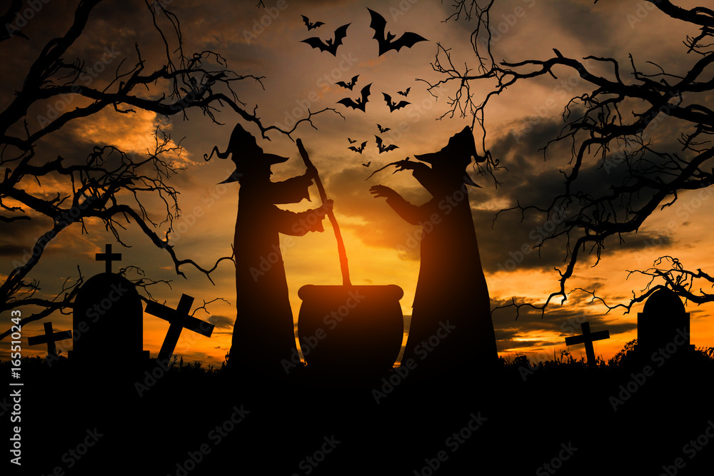 Witch in the halloween night, Concept halloween. Stock Photo | Adobe Stock