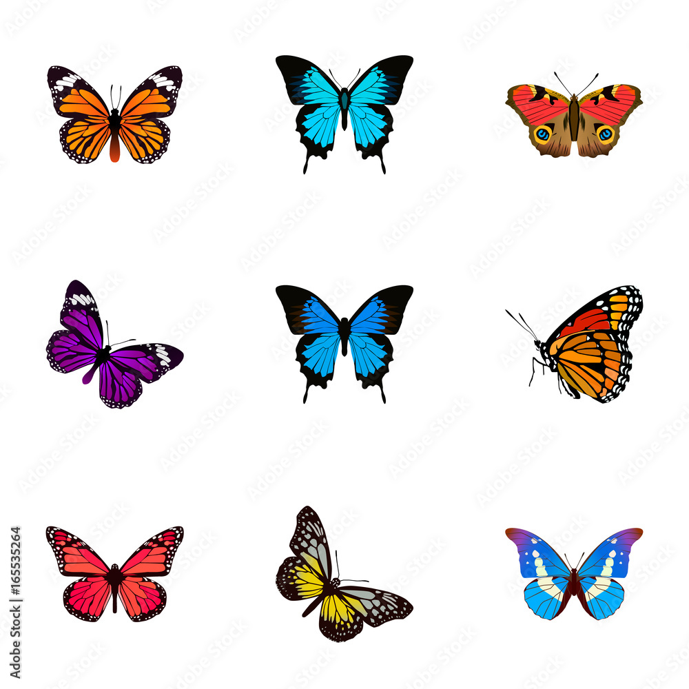 Painted Lady Butterfly Clip Art