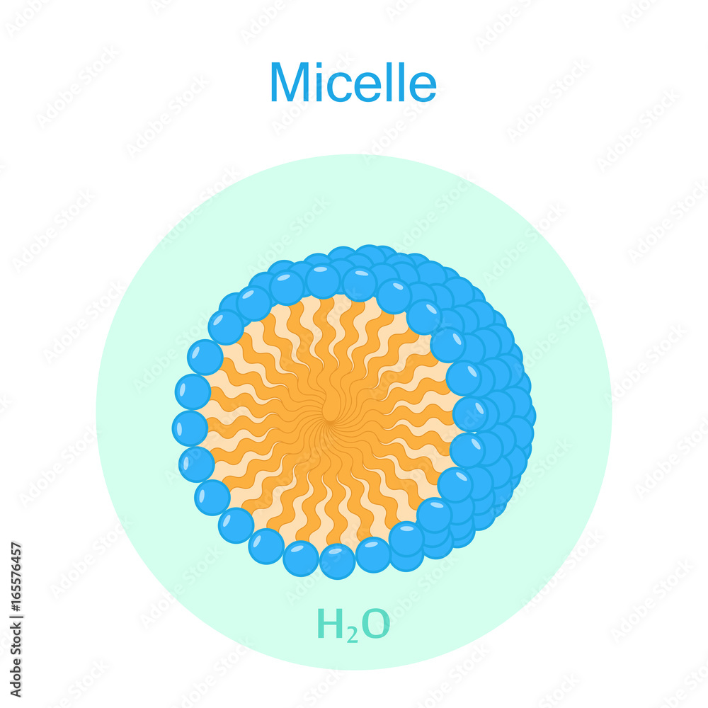 Micelle Color Icon Stock Vector | Adobe Stock