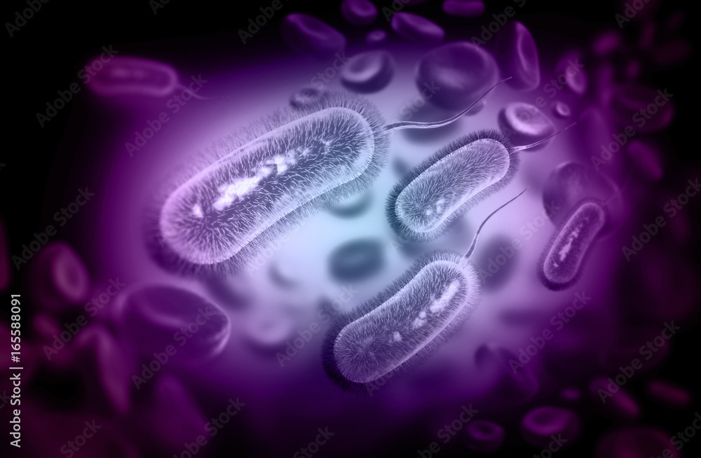 3d structure of E. Coli - Escherichia coli Stock Illustration | Adobe Stock