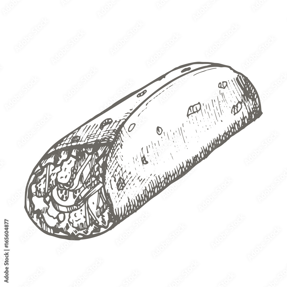 Vector vintage burrito drawing. Hand drawn monochrome fast food ...