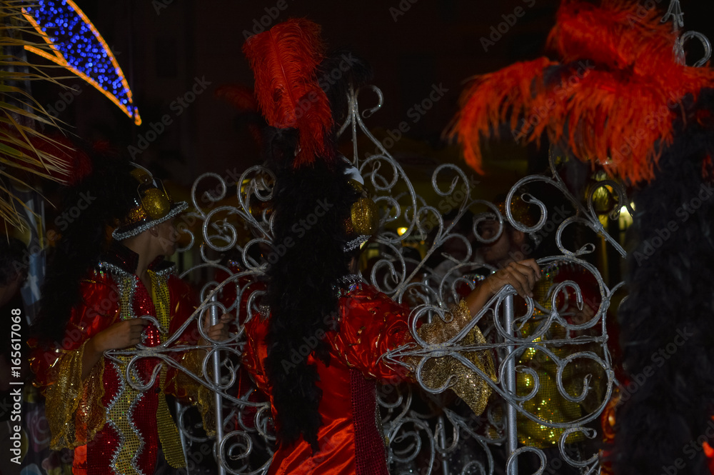 Pretty carnival costumes and feathers of unrecognizable dancers at ...
