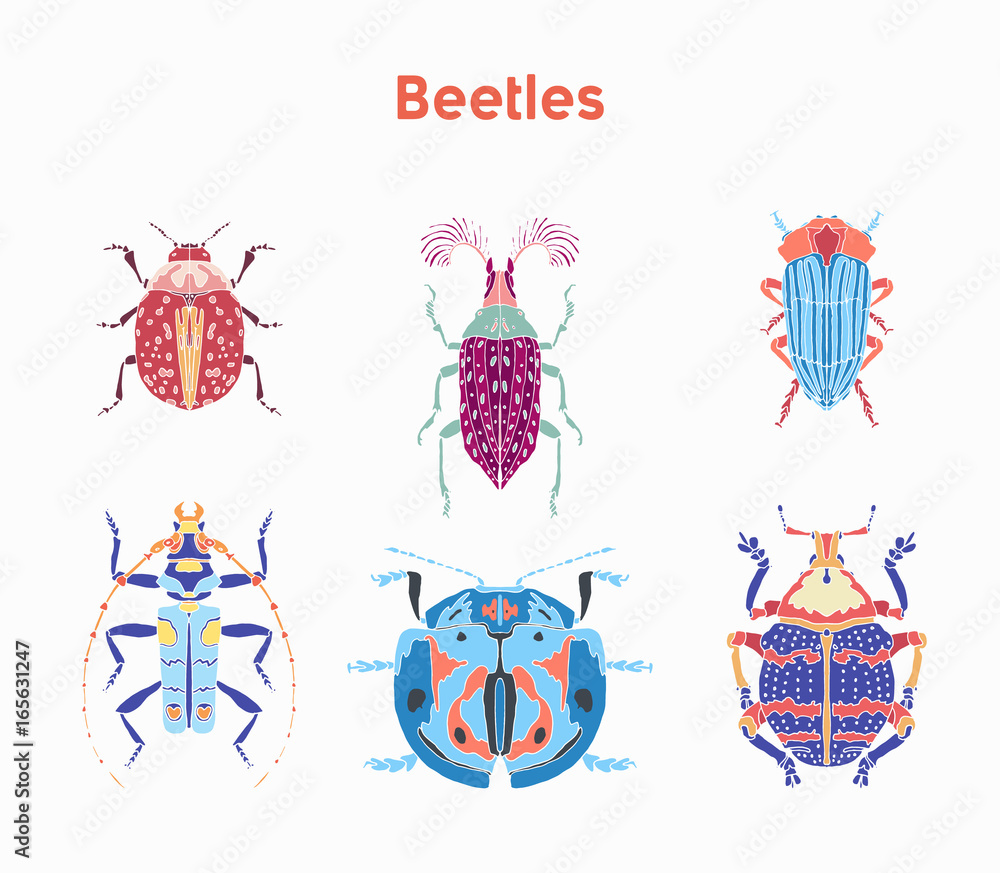 Set drawn vector illustrations beautiful beetles Stock Vector | Adobe Stock
