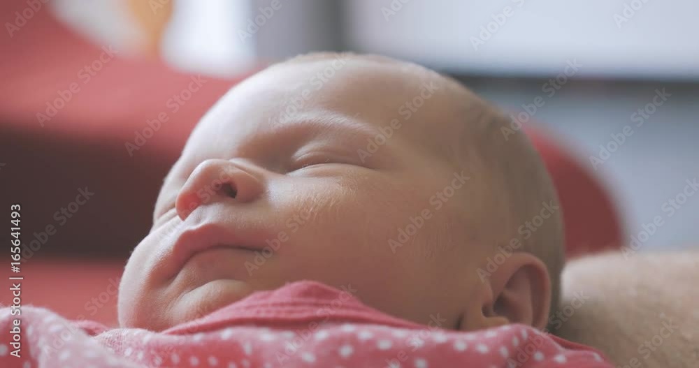 Newborn baby sleeping on father's lap 4K Stock ビデオ | Adobe Stock