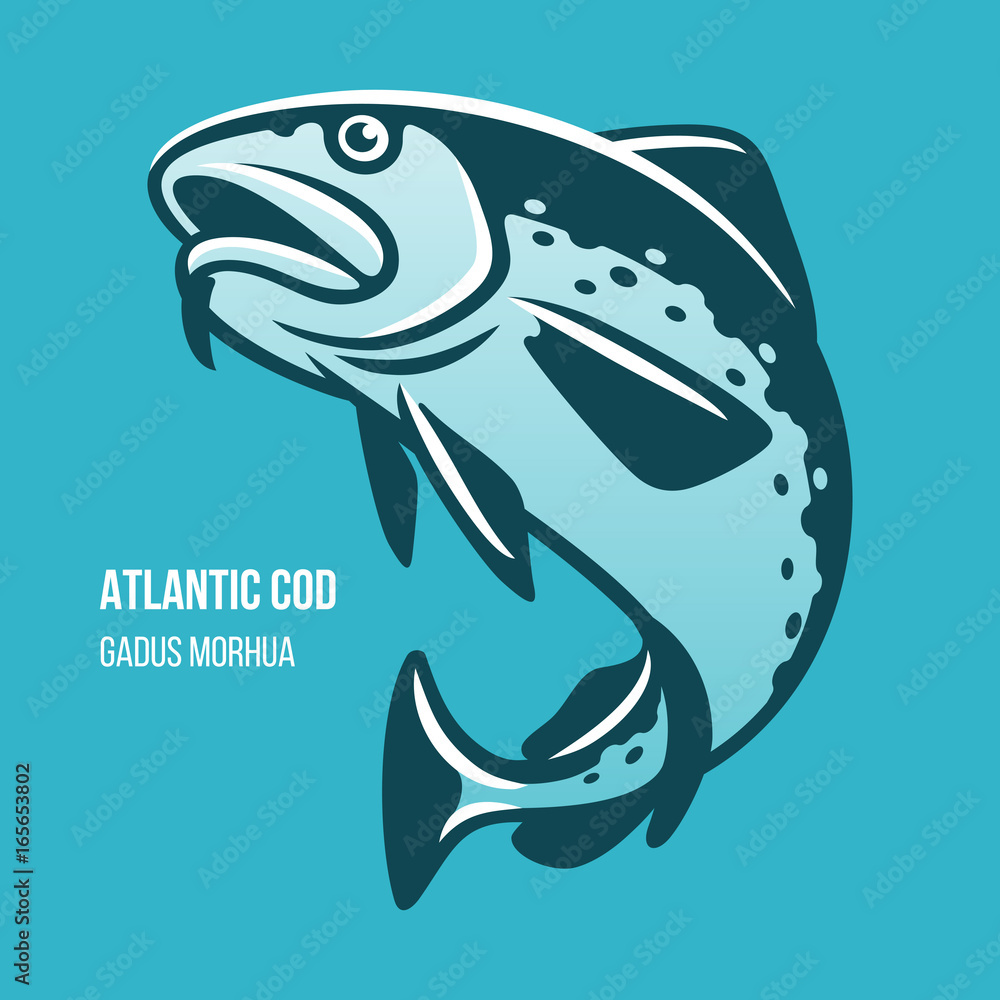 Atlantic Cod fish vector illustration Stock Vector | Adobe Stock