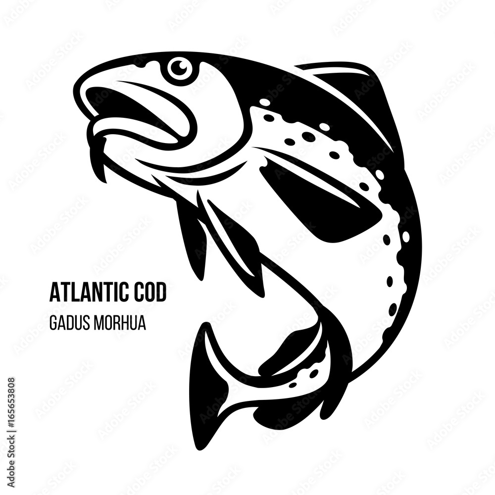 Atlantic Cod fish vector illustration Stock Vector | Adobe Stock