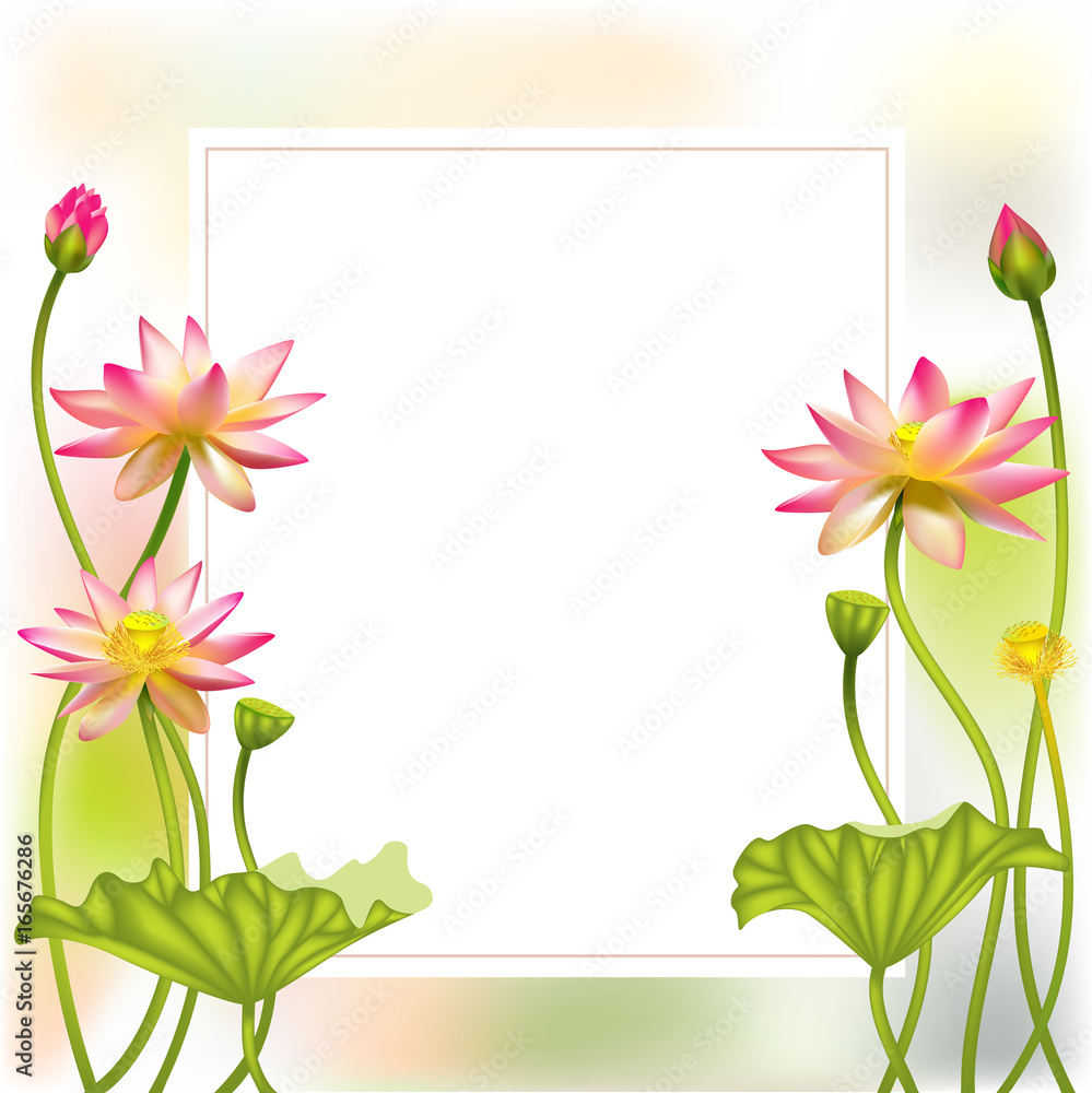 Pink lotus. Beautiful floral background. Buddhism. Symbol. Border. SPA ...