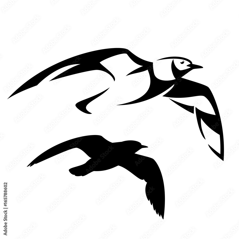 flying seagull vector design - black and white bird outline and ...
