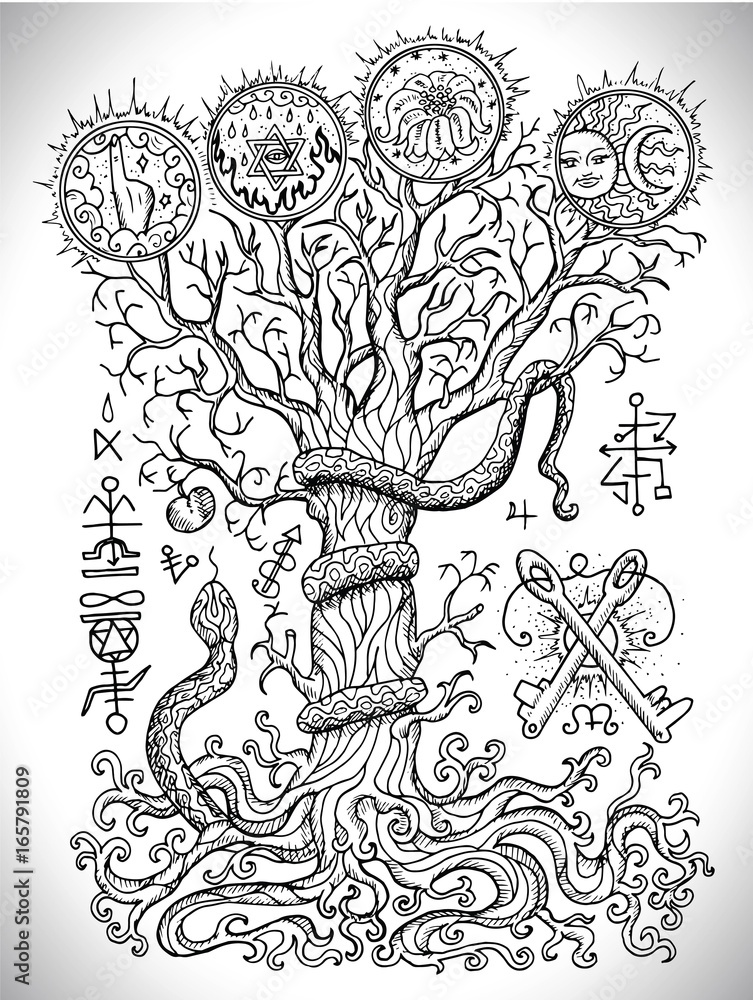 Tree Of Knowledge Drawing