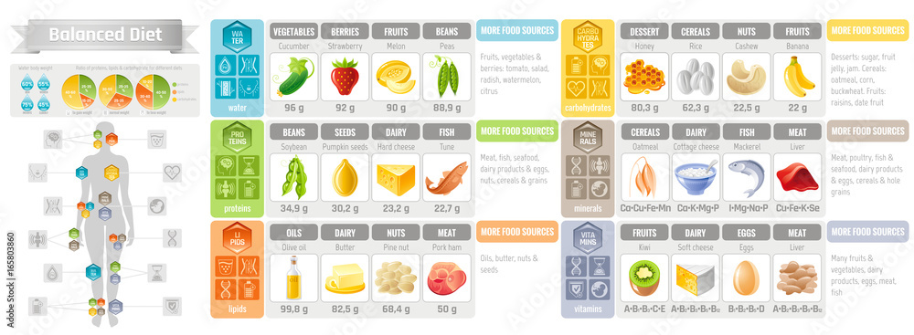 Balance diet infographic diagram poster. Water protein lipid ...