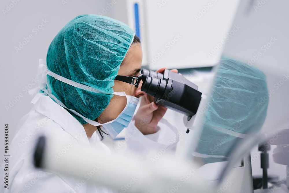 Working in an Assisted Reproduction Laboratory Stock Photo | Adobe Stock