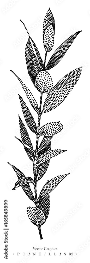 Vector illustration with branch and leaves drawn by hand. Graphic ...