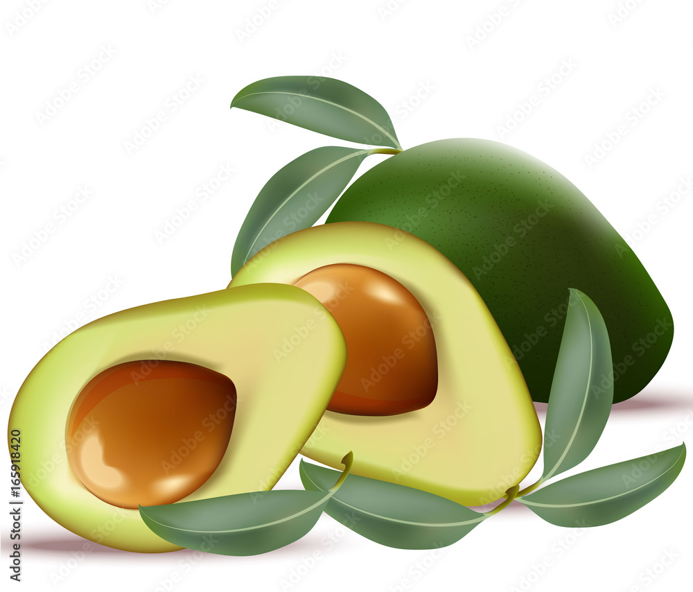 Avocado realistic Vector on white background illustration Stock Vector ...