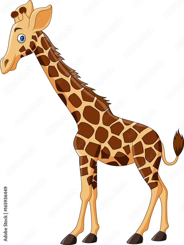 Cartoon giraffe isolated on white background Stock Vector | Adobe Stock