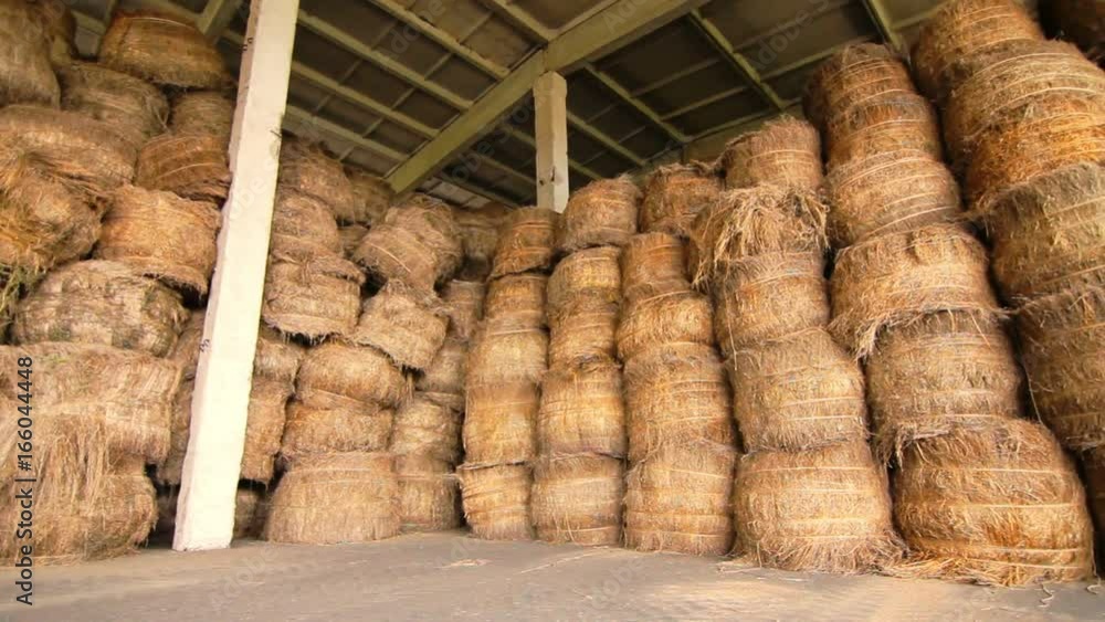 Agriculture warehouse. Hay stack in storage. Haystacks in factory ...