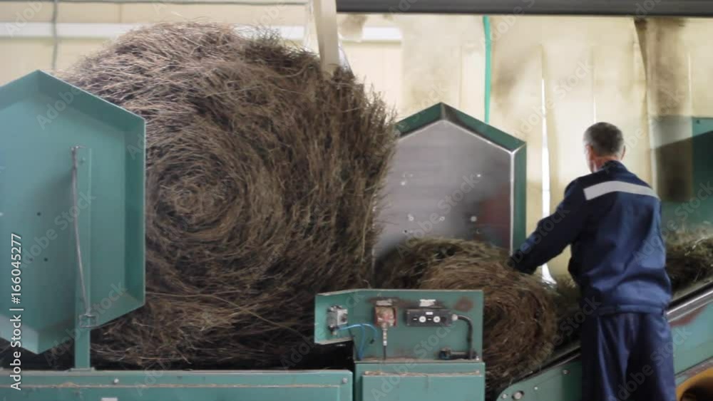 Agriculture factory line. Hay stacks on manufacturing line. Haystacks ...