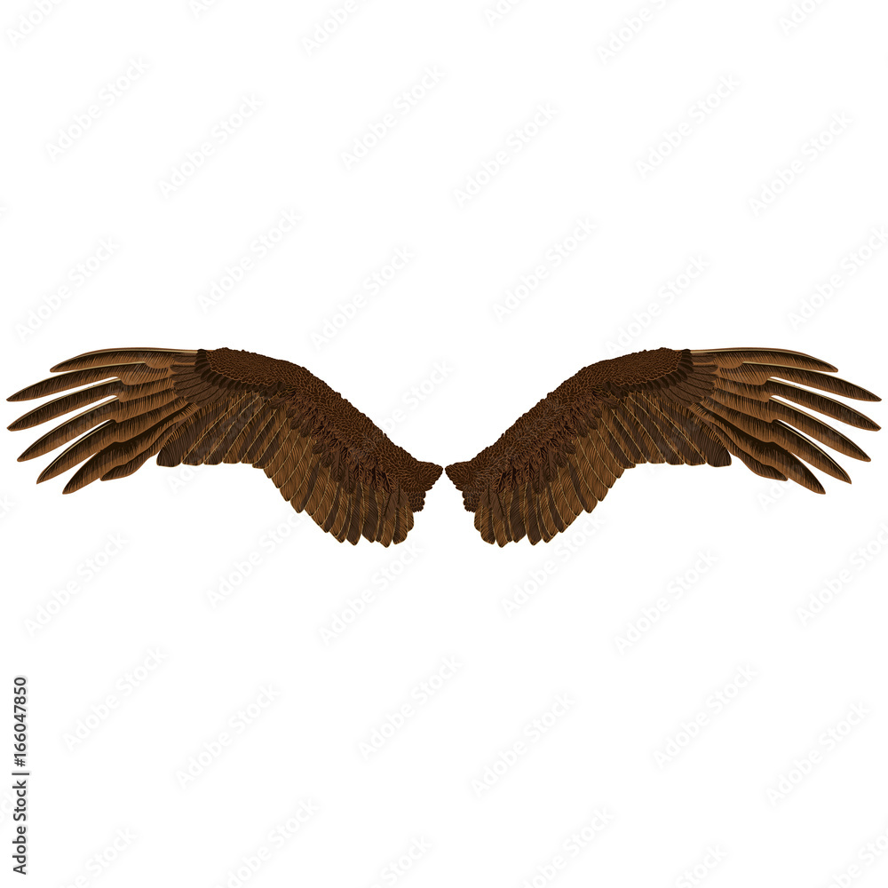 Brown Eagle Wings