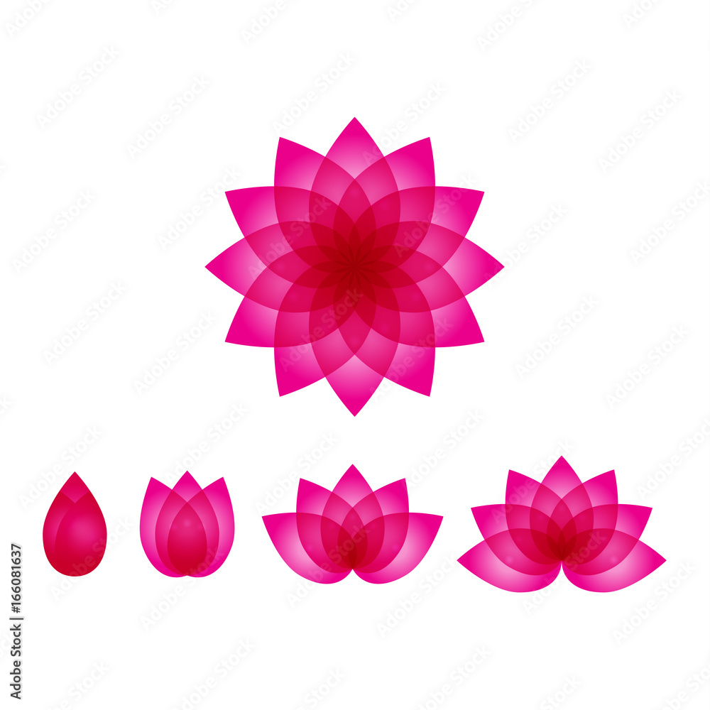 lotus vector set Stock Vector | Adobe Stock