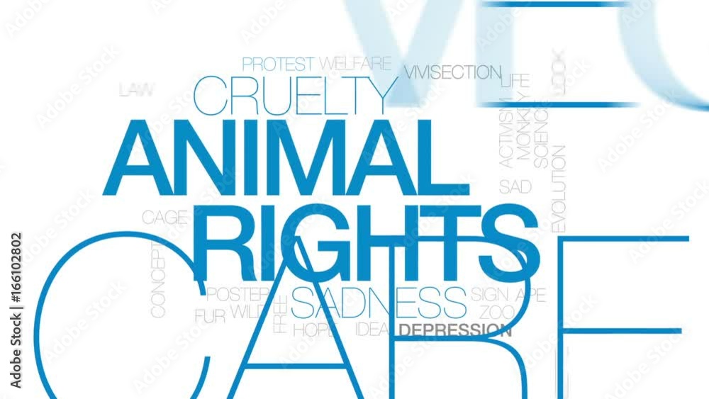 Animal rights animated word cloud, text design animation. Kinetic ...