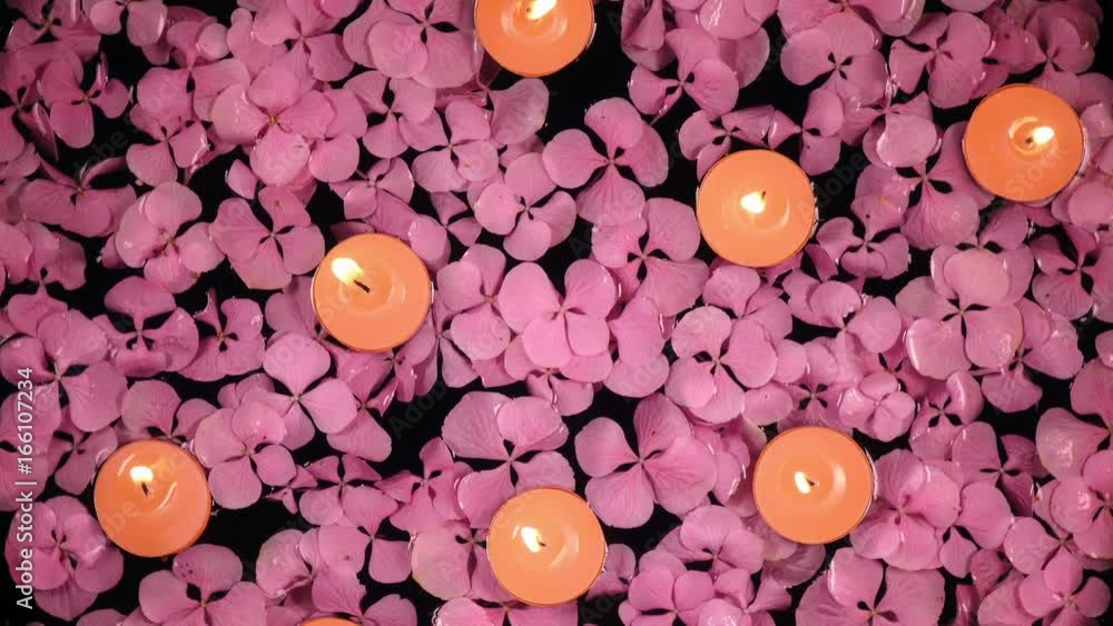 Water covering by beautiful pink flowers of Hydrangea with burning ...