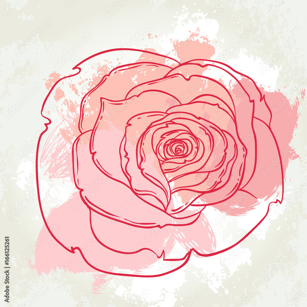 Beautiful roses bouquet drawing on beige grunge background. Hand drawn ...
