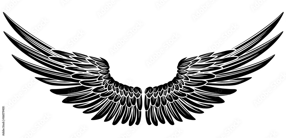 Eagle Bird or Angel Wings Stock Vector | Adobe Stock