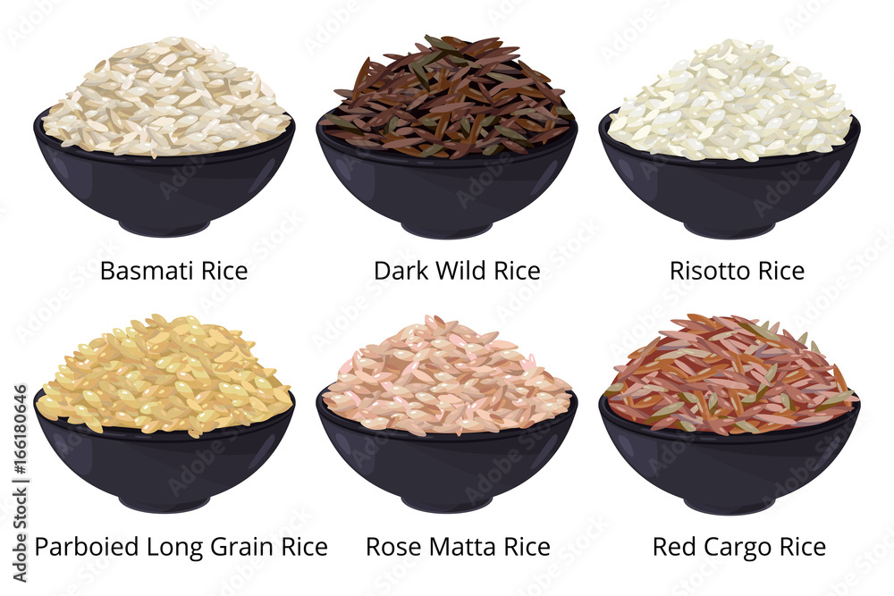 Different type of rice. Long grain, brown, white and other. Vector ...