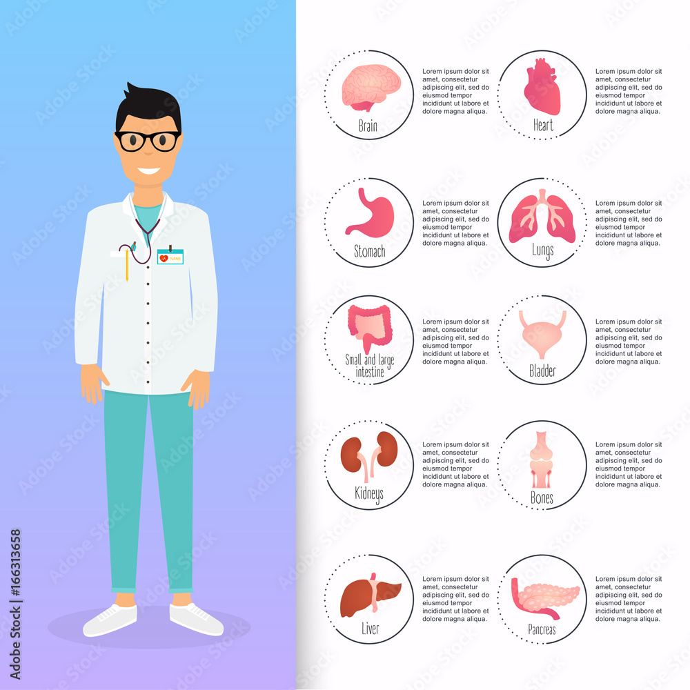 Doctor in in medical uniform. Human internal organs. Flat design modern ...