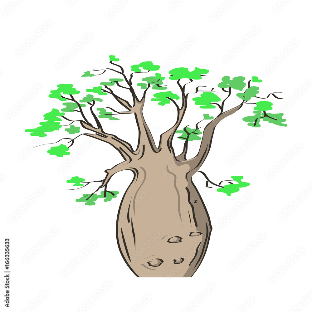 African Iconic Tree Baobab Tree Adansonia Gregorii Stock Vector