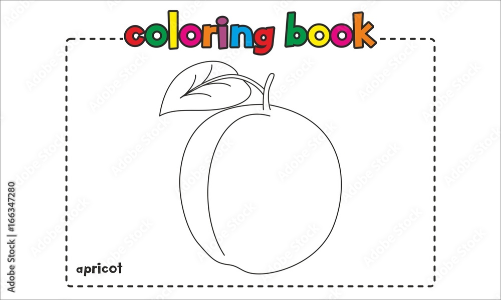 Apricot Coloring Book Stock Vector | Adobe Stock