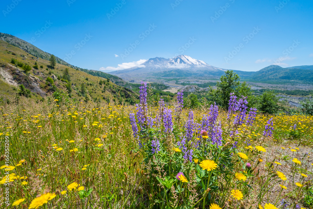 The breathtaking views of the volcano. Amazing valley of flowers ...