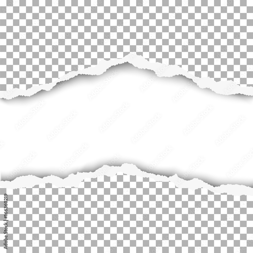 Vector snatched middle of paper with white background, torn edges, soft ...