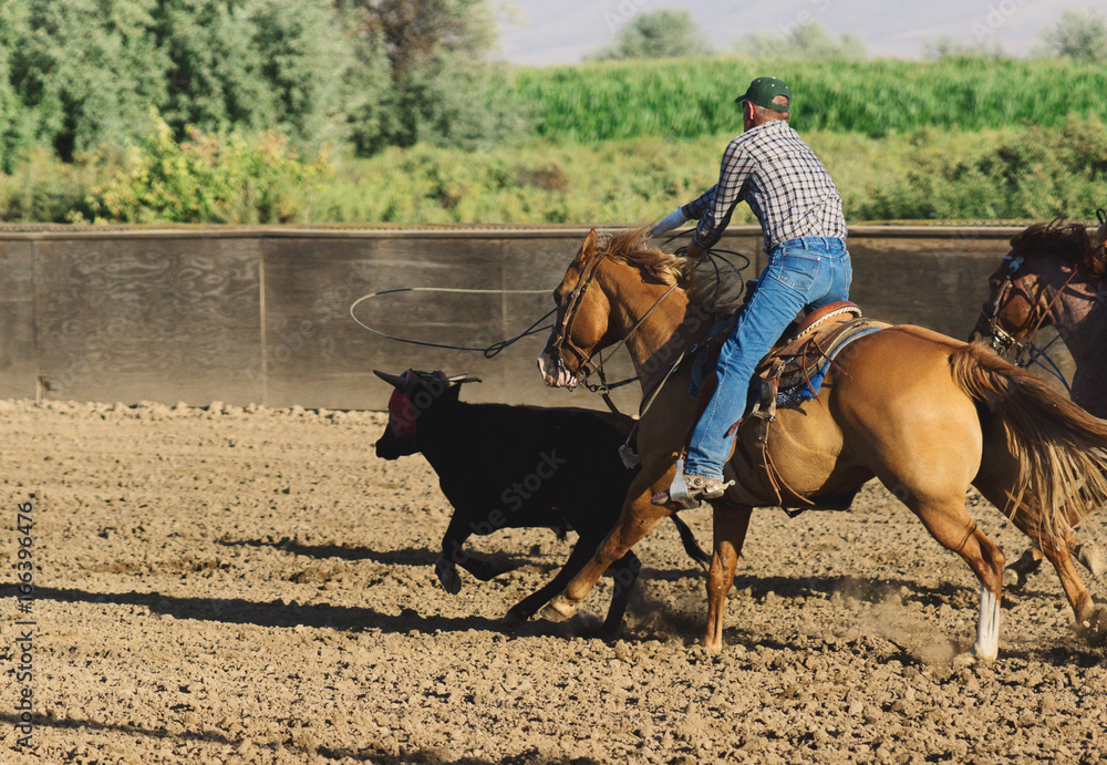 Team roper ropes steer in arena Stock Photo | Adobe Stock