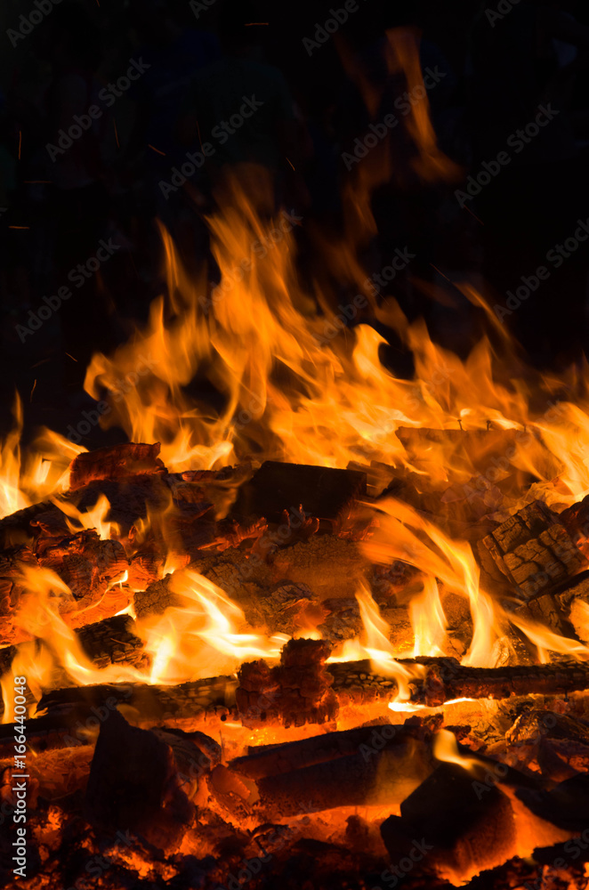 burning wood closeup in real; firereal fire flame render, bonfire ...