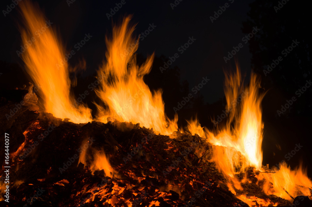 burning wood closeup in real; firereal fire flame render, bonfire ...