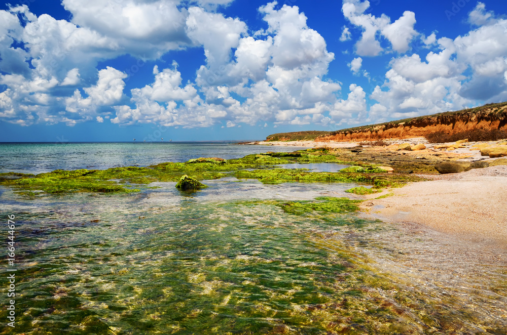 seascape, shore with clear water and rocks covered with algae in ...