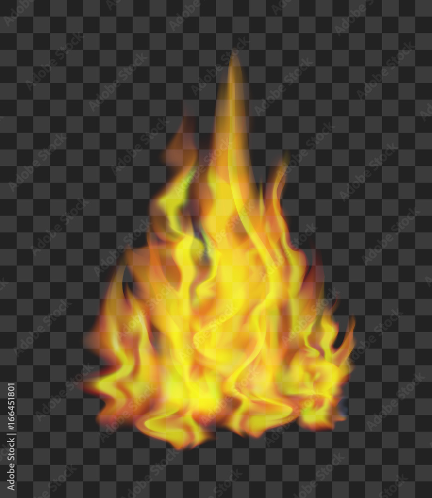 Fire on Transparent Background. Vector Stock Vector | Adobe Stock