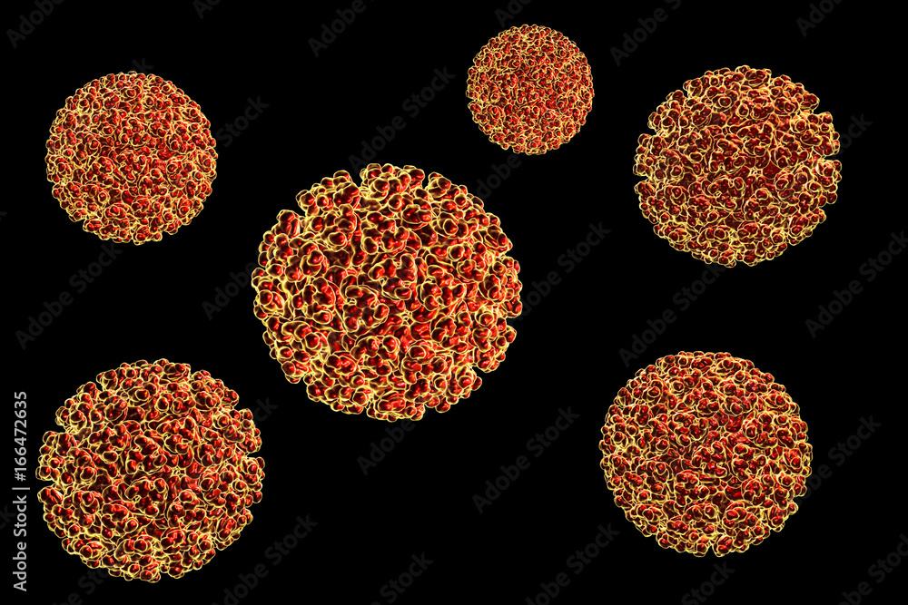 Ross river virus, 3D illustration. An RNA mosquito-borne alphavirus ...