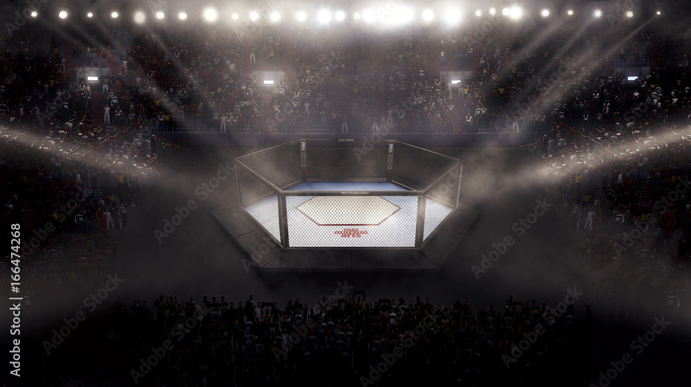 Empty Ufc Octagon