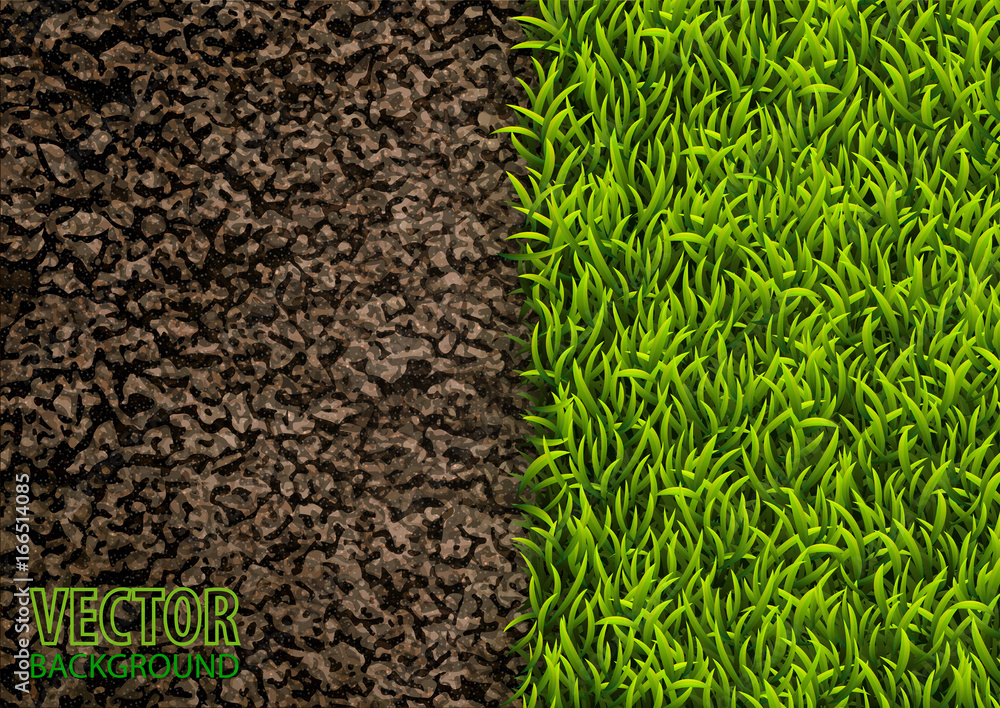 Image of soil and green grass texture. Natural texture. Overhead view ...