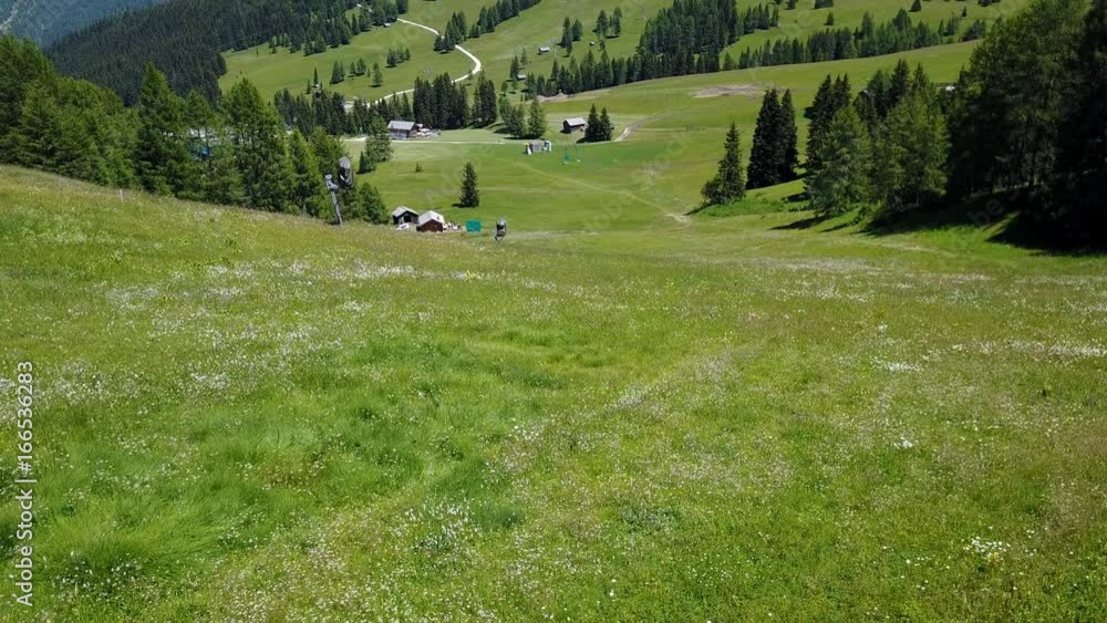 Aerial drone landscape of the meadows at high altitudes, forming gentle ...