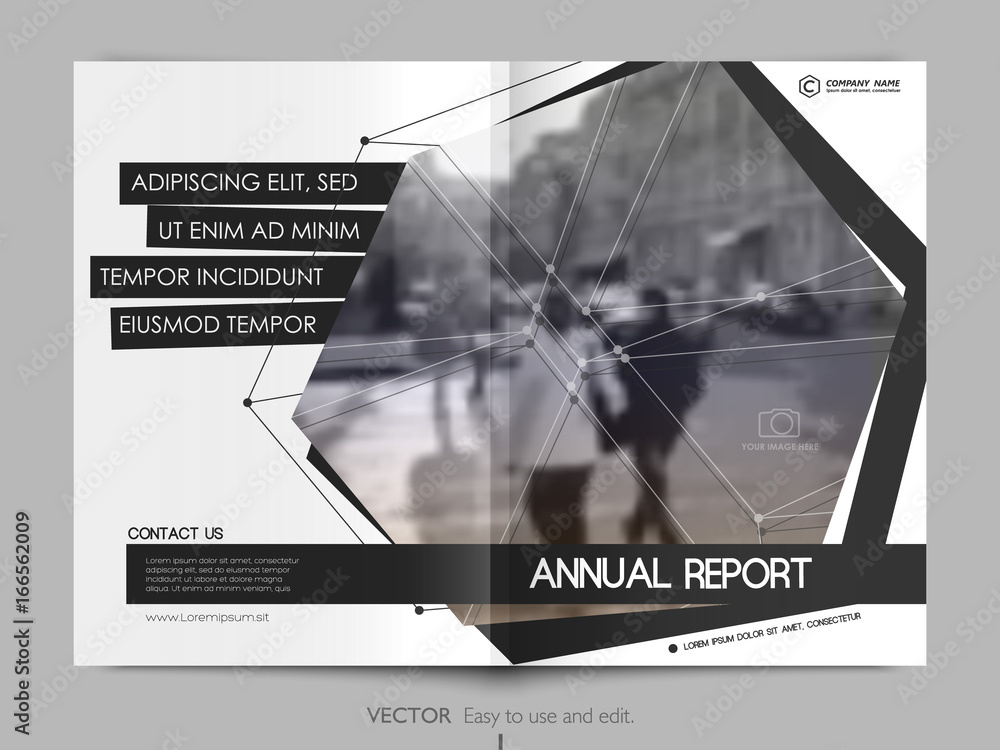 Minimalist Cover Design. Layout for Annual Report, Cover Book, Vector ...