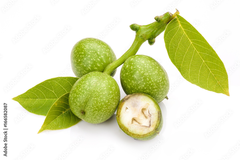 young green walnut Stock Photo | Adobe Stock