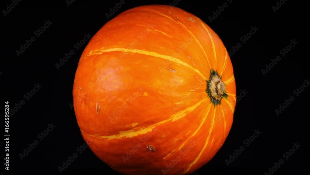Amazing whole orange pumpkin close up, laying on its side and rotating ...